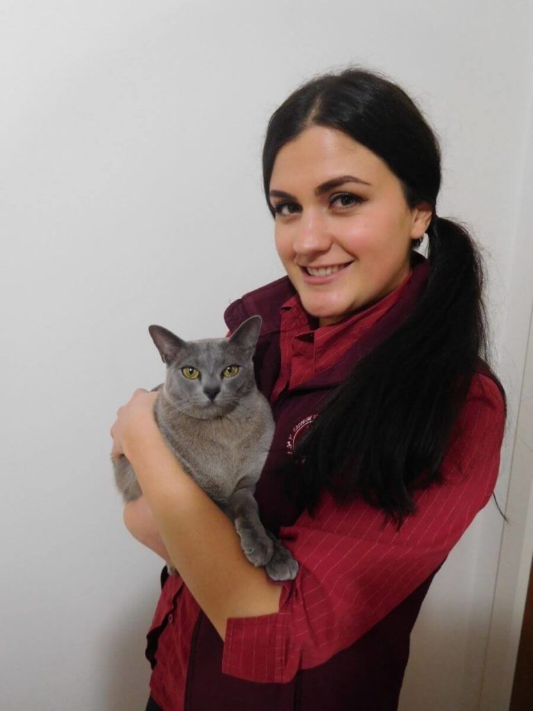 Our Team – Carnegie Veterinary Clinic